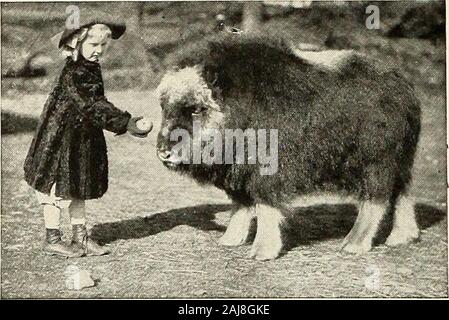 . St. Nicholas [serial]. Baltimore, Md. V. M. H1LLYER, A.B. (Harvard ...