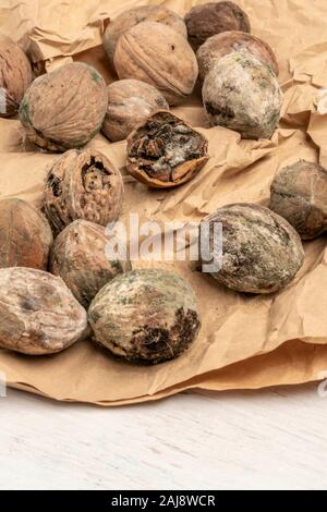 some mouldy unpleasant walnuts as a background Stock Photo - Alamy