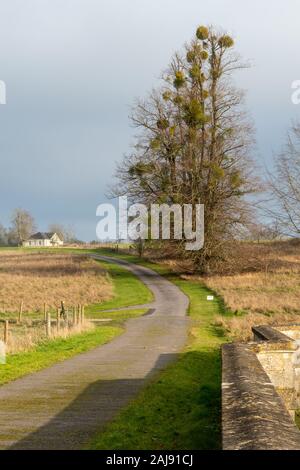 Hackwood Park Estate - Basingstoke Stock Photo: 105978898 - Alamy