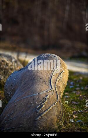 Trovantii – the strangest living stones in Romania Stock Photo - Alamy