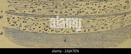 Calne railway station Stock Photo - Alamy