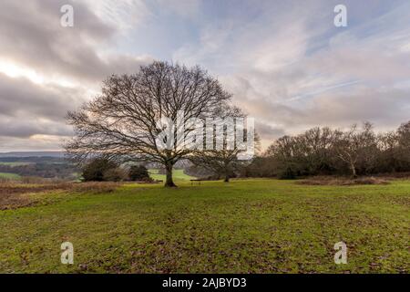 Newlands Corner view in Surrey hills area of outstanding beauty in ...