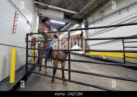 A bull waits to be loaded into the chute for a cowboy to attempt to ...