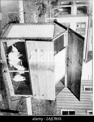 The Philo system of progressive poultry keeping . Fig.3.. Fig.S Stock ...