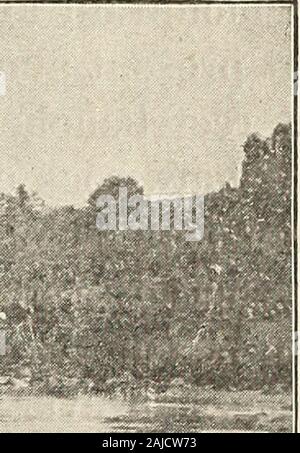 Notes on the forest conditions of Porto Rico . Fig. 1.—View of South ...
