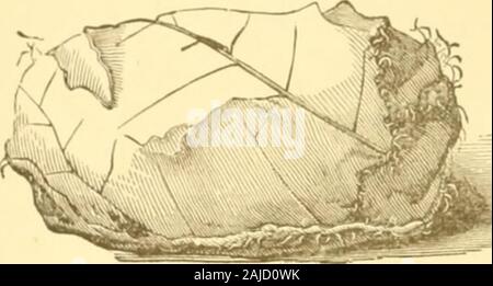 yellow indented lines on a brown jagged background Stock Photo - Alamy