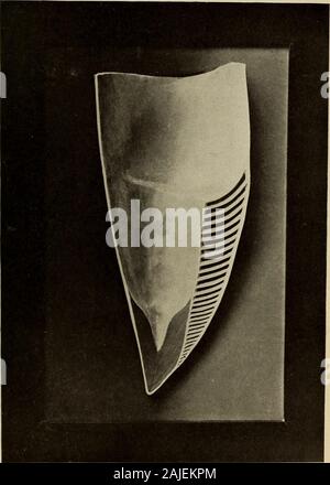 Annual report . Life-size panel restoration of Stylonurus excelsior ...