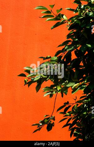 Grunge abstract contrast green and red background on white backdrop ...