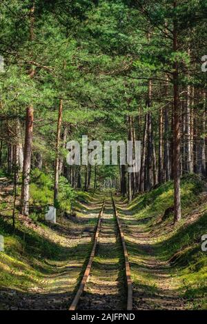 Old railroad track through countryside in autumn, aerial view from ...