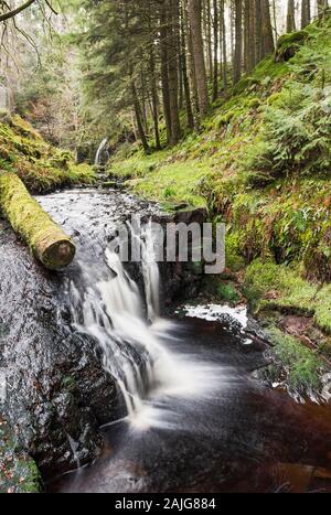 On the edge of Kielder Water in Kielder Forest is a camera obscura ...