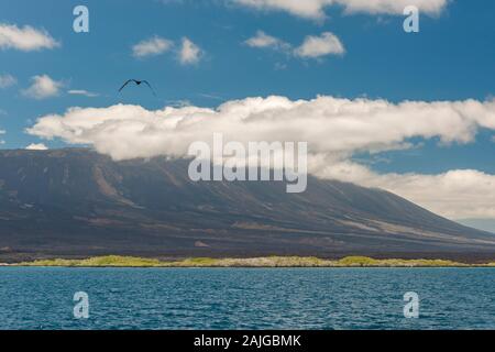 La Cumbre volcano, Fernandina island, Galapagos, Ecuador Stock Photo ...