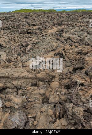 The volcanic landscape at Punta Moreno on Isabela island, Galapagos ...