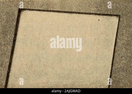 Principles and practice of infant feeding . Fig. 6.—Apparatus for ...