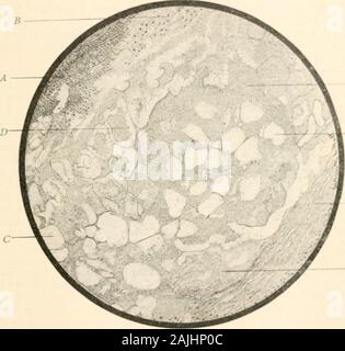 The Lancet: The brain Stock Photo - Alamy