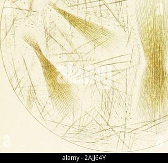 Atlas of urinary sediments; with special reference to their clinical ...