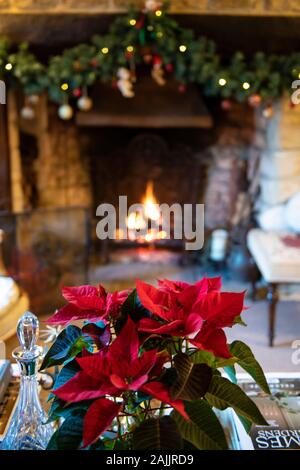 Living room with open fire, christmas decorations and tree. [Picture ...
