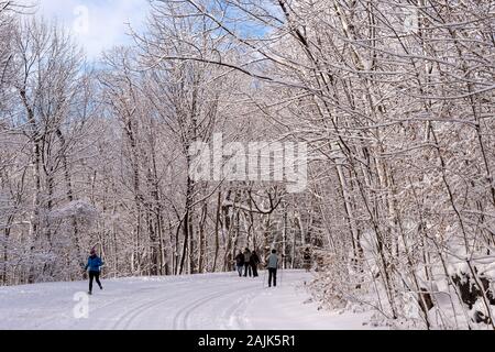 People walk in a parc in a snowy landscape pictured in Namur on Monday ...