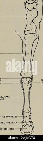 Modelling; a guide for teachers and students . :UNEIFORMUNCIFORM Fig ...