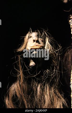 Shrunken head on display at a museum Stock Photo - Alamy