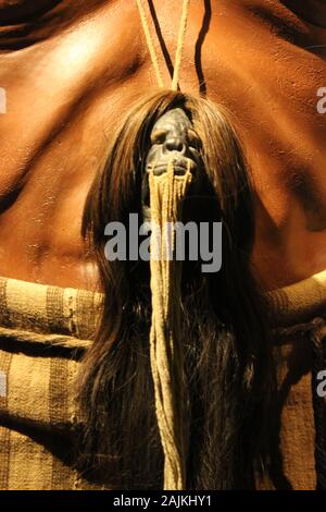 Real Distinct Ecuadorian human shrunken head on display at the ...