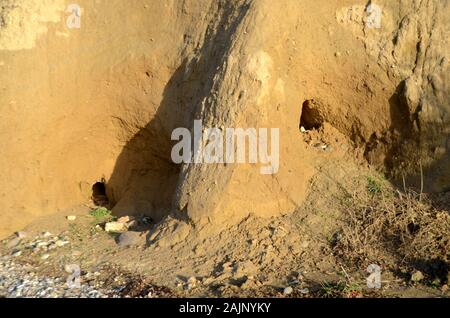Openings of underground water streams in clay slope Stock Photo - Alamy