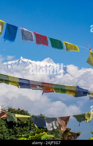 snow capped himalayan mountain range under clear blue sky with scenic ...
