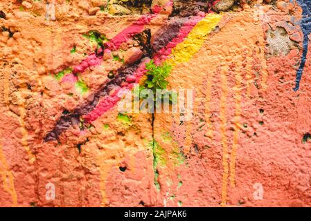 Detail of an anonymous street graffiti with many colors, cheerful urban ...