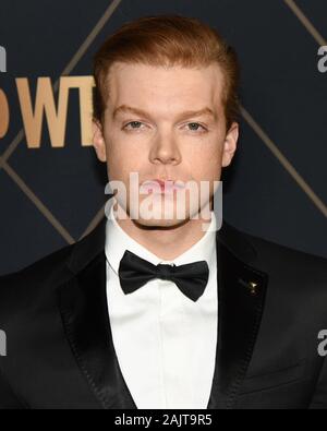 04 January 2020 - West Hollywood, California - R.J. Fried. Showtime ...