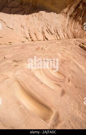 Metate (grinding stone) used to grind up corn and other types of grains ...