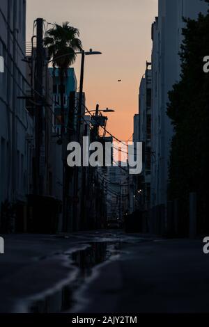Miami Beach alley Stock Photo - Alamy