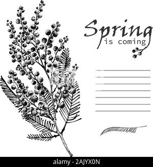 Floral web banner with drawn color exotic leaves. Nature concept design ...