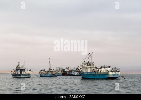Fishing boats anchored in Paracas Bay. The desert coastline is in the ...
