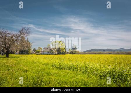 American tradicional landscape in countryside Stock Photo - Alamy