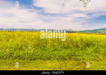 American tradicional landscape in countryside Stock Photo - Alamy