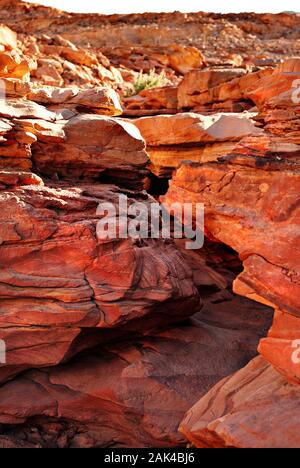 flying bird, red rocks, single boat Stock Photo - Alamy