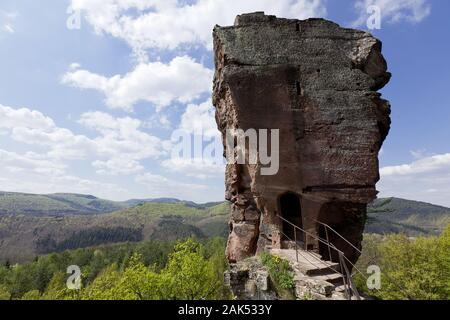 Biosphaerenreservat Pfaelzerwald-Vosges du Nord: Burgruine Wasigenstein ...