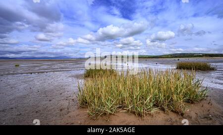 Sandscale Haws coastal reserve, Kirkby in Furness, Cumbria Stock Photo ...