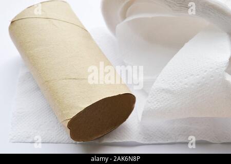 Single tissue paper roll core is isolated on white background with ...
