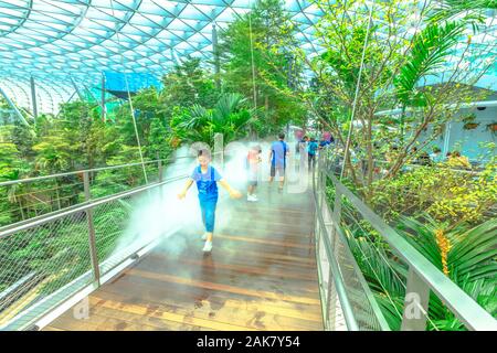 Singapore - Aug 8, 2019: Canopy Bridge in Canopy Park, is a suspension ...