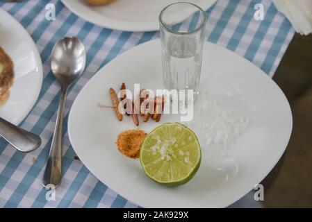Tequila, grilled insects, lime, salt Stock Photo - Alamy