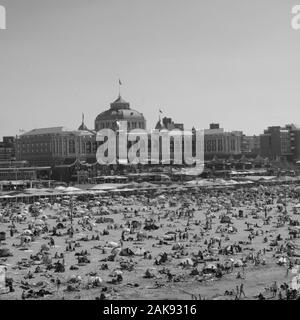 Beach Scheveningen summer Stock Photo - Alamy