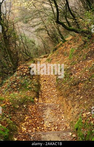 Meteora, Greece - Dec 19, 2019: Abandoned monastic cave houses known as ...
