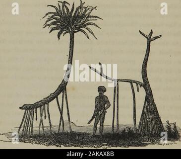 Fiji and the Fijians . the Fijian, without any trouble but that of ...