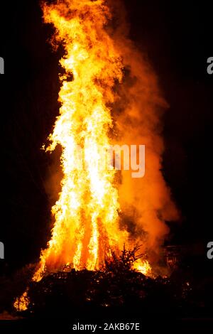burning evergreen trees produce tall yellow and orange flames, and ...