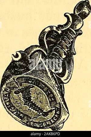 A history of the family of Seton during eight centuries[With plates ...