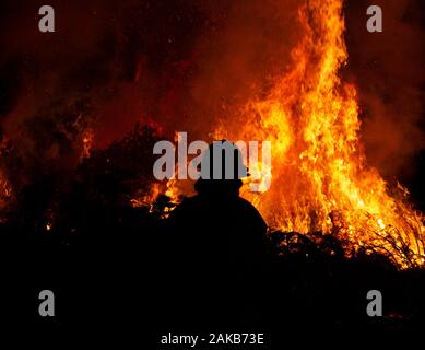 burning evergreen trees produce tall yellow and orange flames, and ...