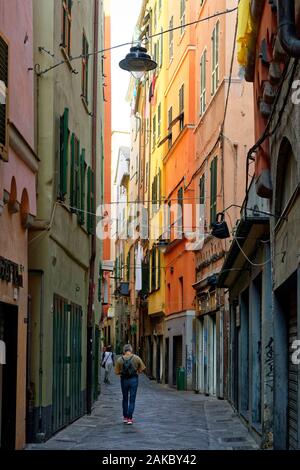 Italy, Liguria, Genoa, small streets of the historical centre, Vico ...