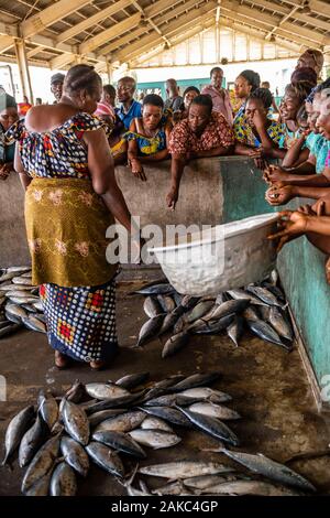 Benin, Cotonou, Fish market Stock Photo - Alamy