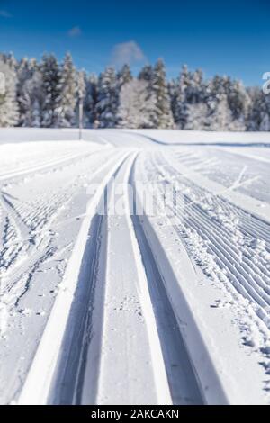 Close-up view of empty cross-country skiing track in beautiful winter ...