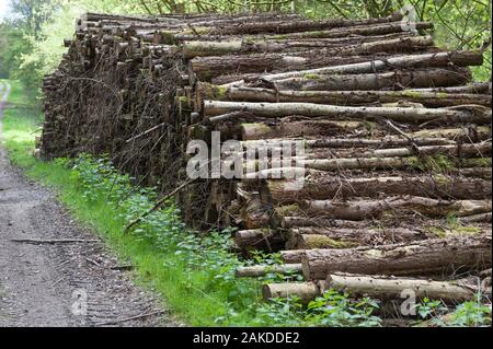 tree logs on side of Stock Photo - Alamy
